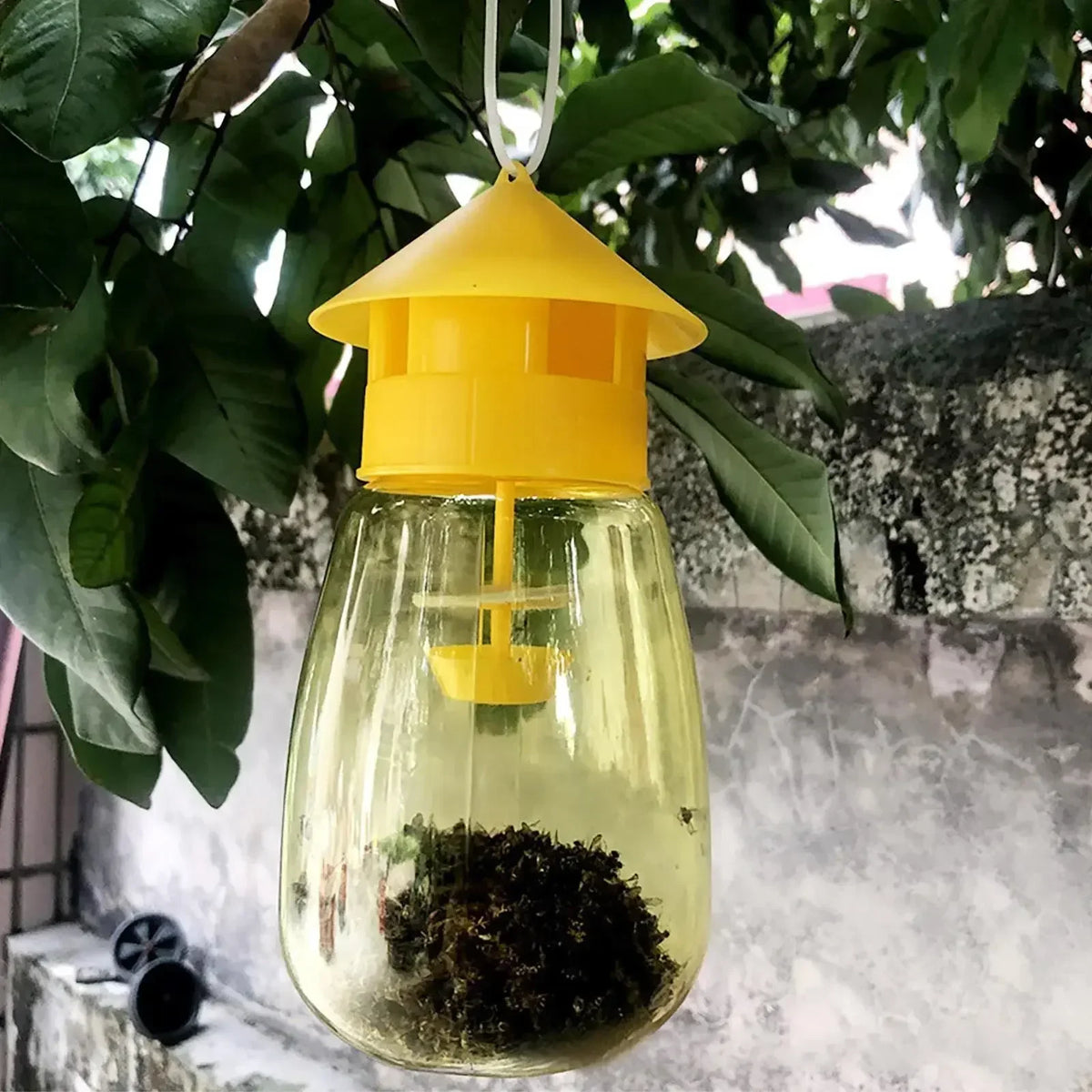 Fruit Fly Trap Killer Plastic Drosophila Trap Anti Fly Fruit Fly Kille ...
